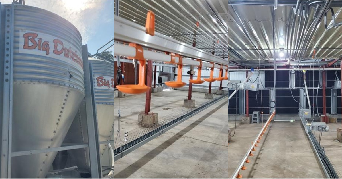 Project Update: Yikefu Broiler Breeders Farm Tainan, Taiwan | Big Dutchman