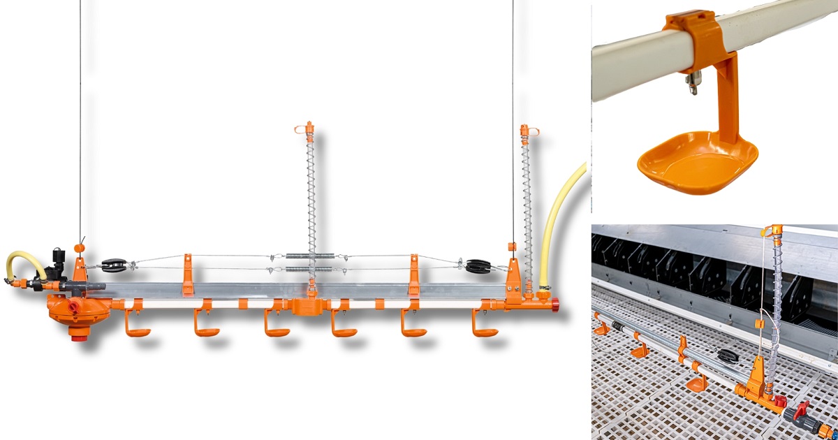 Nurturing Growth: The Essentials of Water Management for Broiler ...