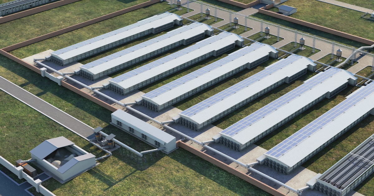 Modern Poultry Farming: A More Environmentally Friendly Approach | Big ...