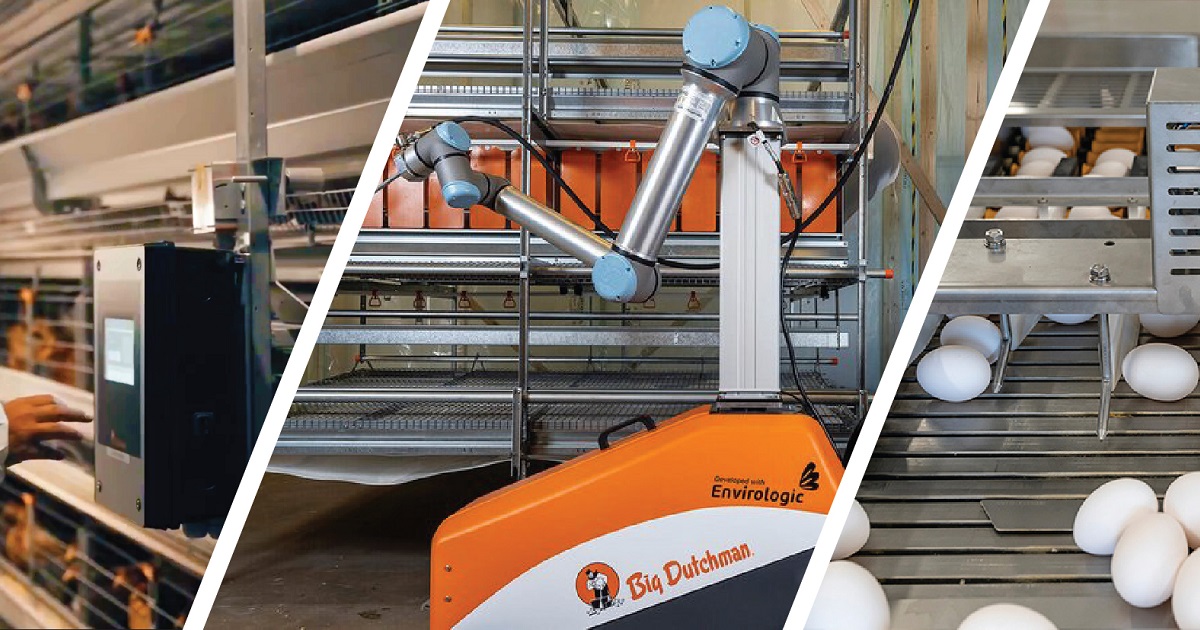 The Future of Egg Production: Robotics and Automation in Poultry ...