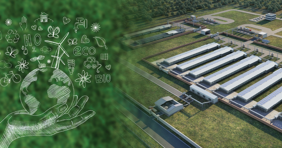 Carbon Neutral Farms: Embracing Sustainability in Egg & Poultry ...