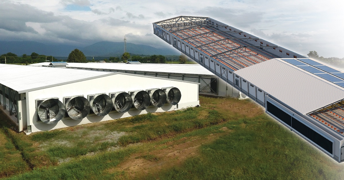 Temperature Rising: Strategies for Broiler House Design in a Warming ...