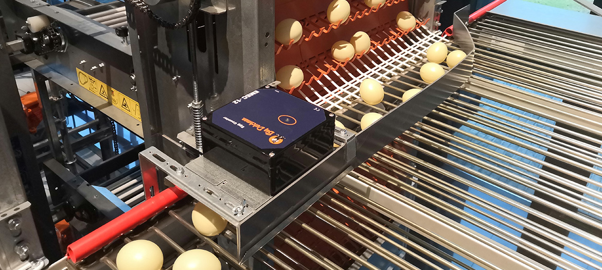 Egg Counters | Big Dutchman